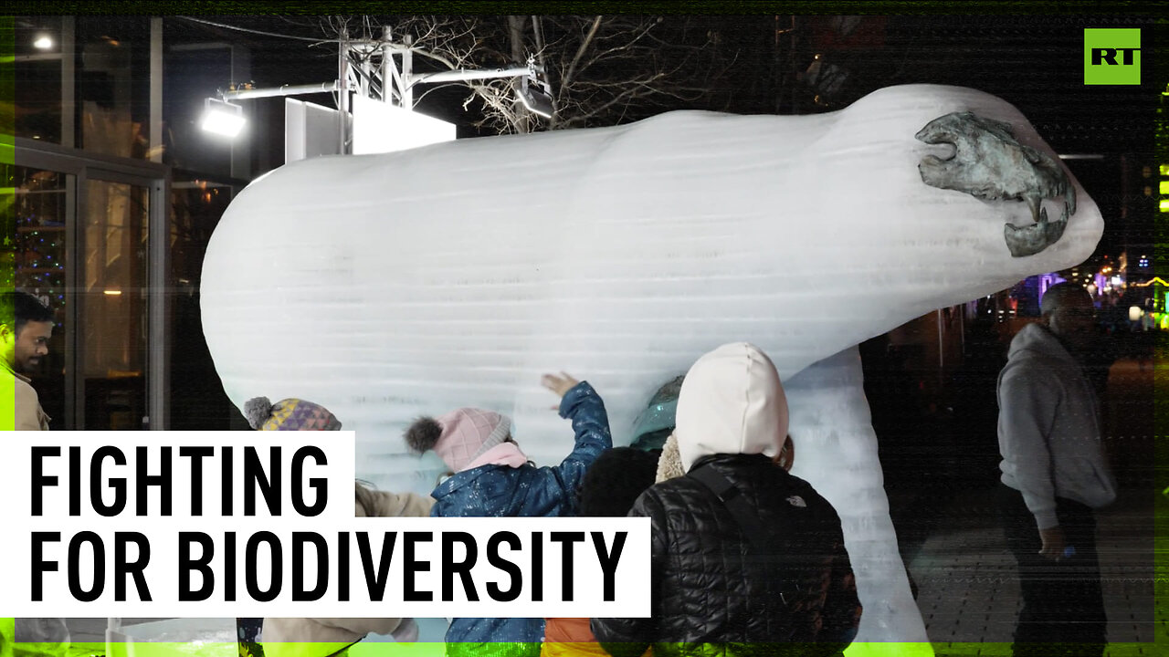 Canadian activists raise biodiversity awareness by melting polar bear ...