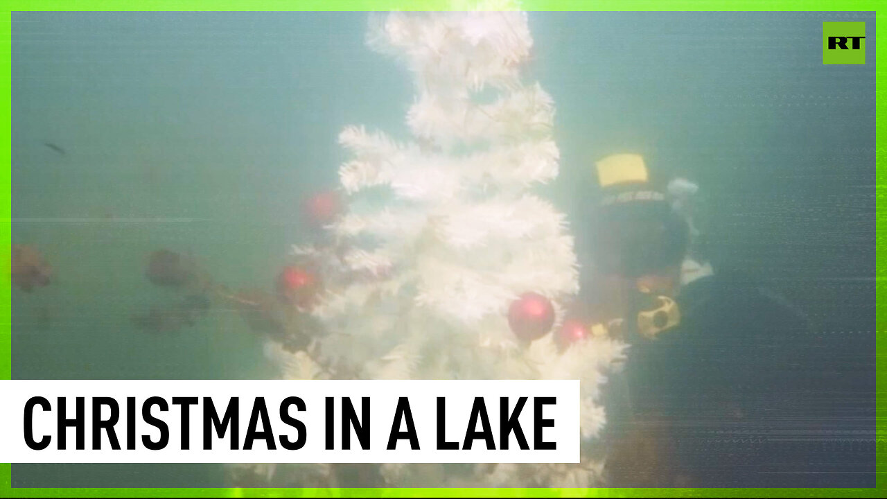 Underneath the Christmas… lake! Bosnian divers place festive tree in ...