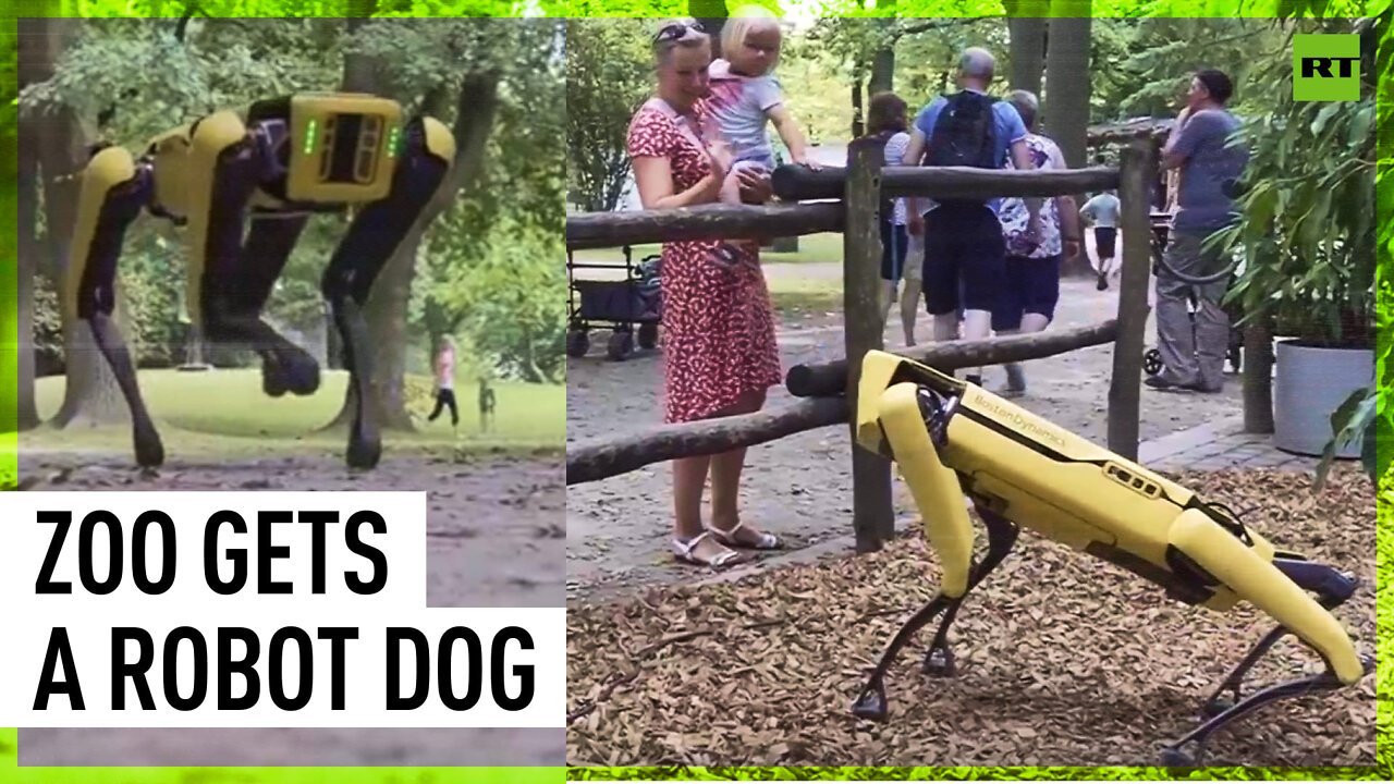 German zoo experiments with robot dog exhibit